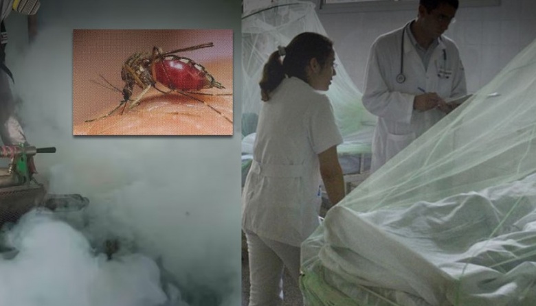 El Dengue en Perú: Cifras de Casos Superan al Año Pasado y pasa a fase ...