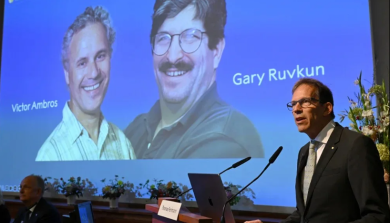 Victor Ambros y Gary Ruvkun ganan el Nobel de Medicina por el ...