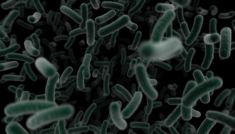 Brote de infecciones bacterianas causa la muerte de 17 niños en México ...