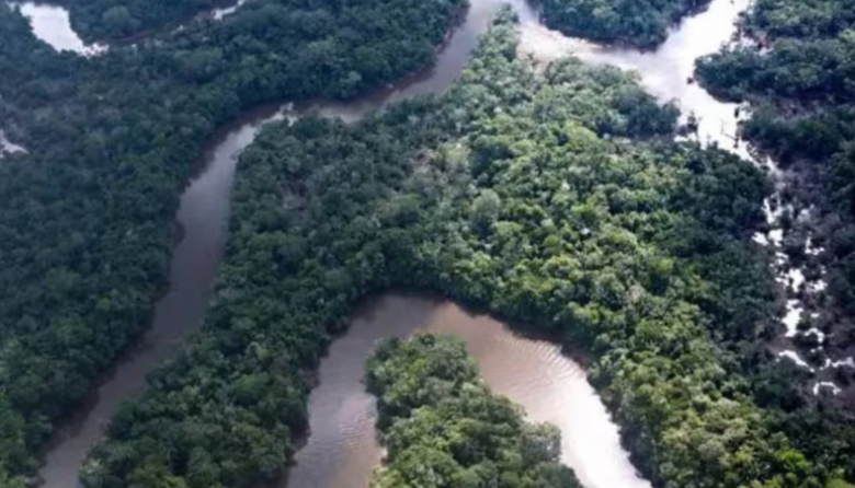 El río La Bomba: La amenaza térmica que podría cambiar el Amazonas para ...